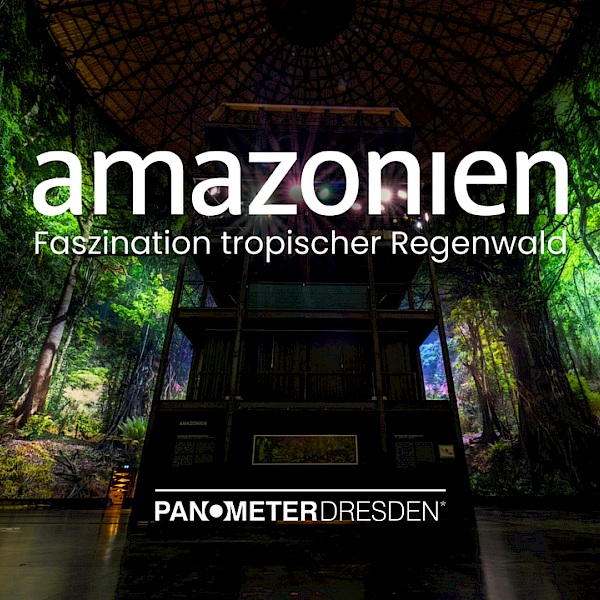Home | Das Panometer - Ein ungewöhnliches Museum in Dresden